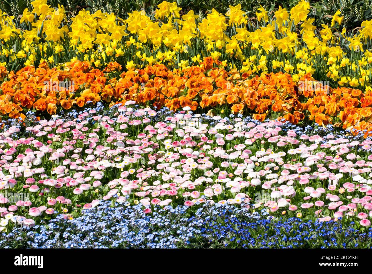 Different spring flowers in the garden Stock Photo - Alamy