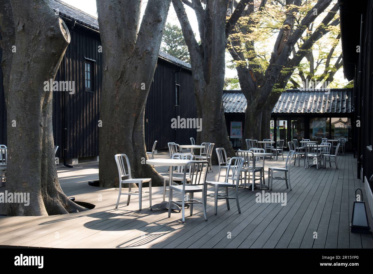 Zelkova table hi-res stock photography and images - Alamy