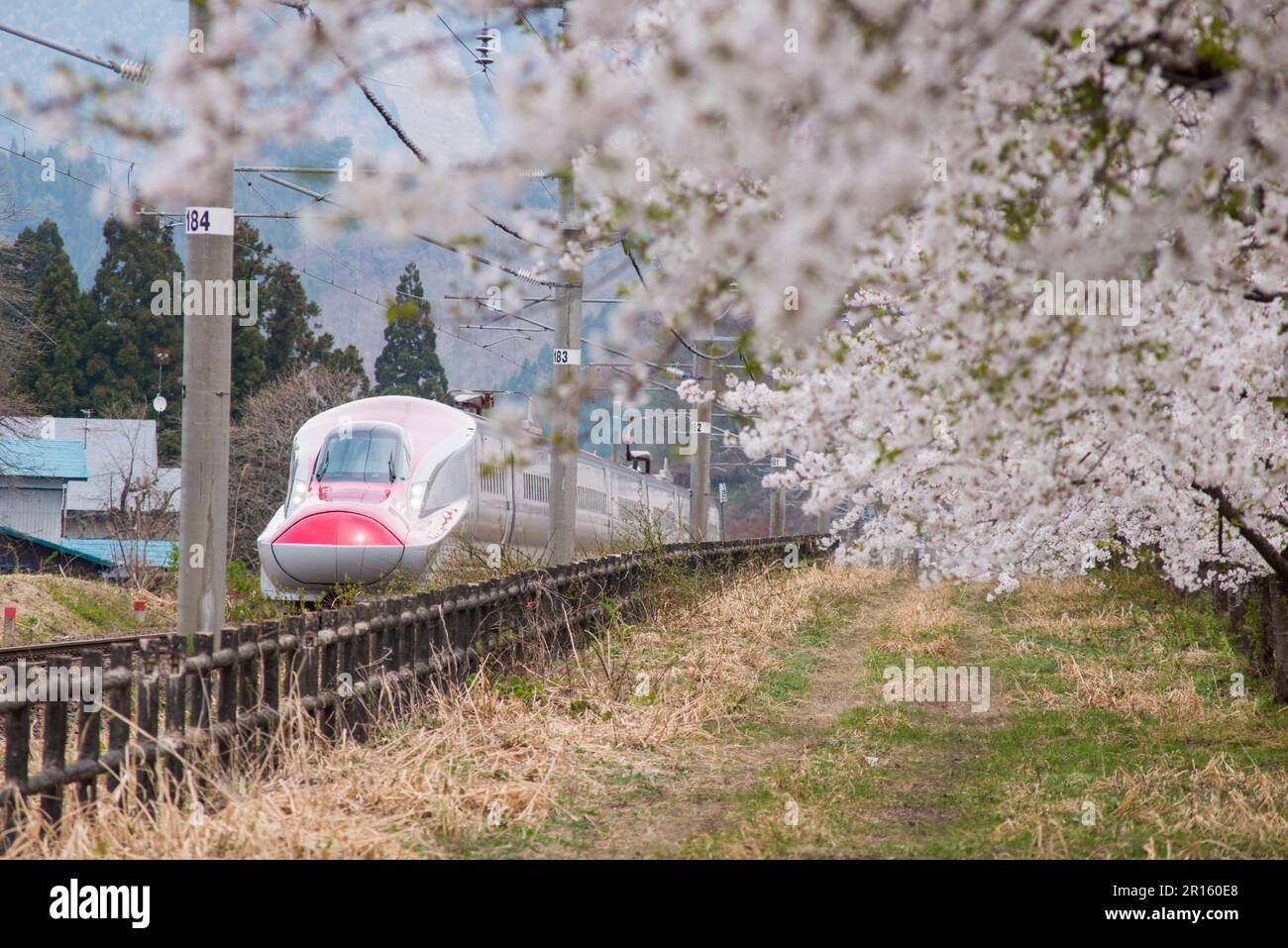 Shinkansen akita hi-res stock photography and images - Alamy