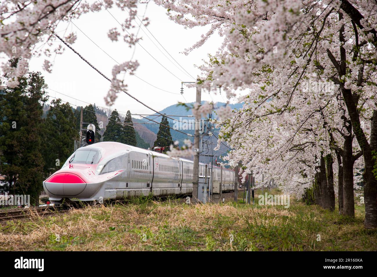Komachi shinkansen hi-res stock photography and images - Alamy