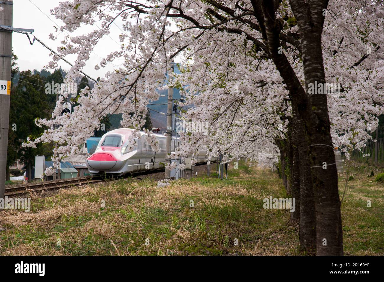 Komachi shinkansen hi-res stock photography and images - Alamy
