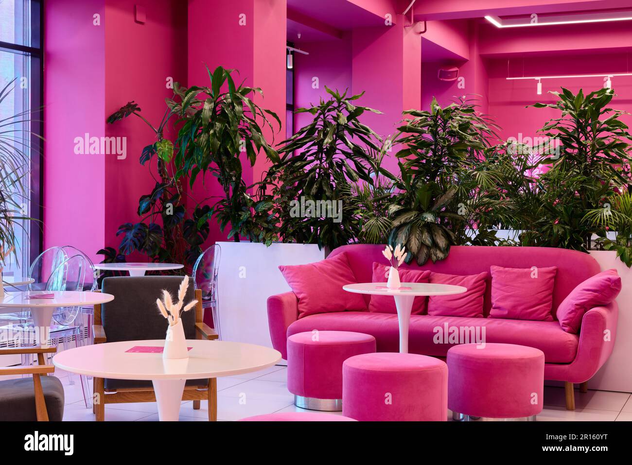 Modern pink interior with lots of plants Stock Photo - Alamy