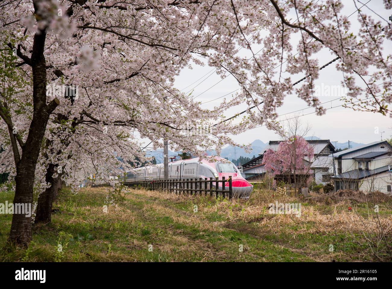 Komachi shinkansen hi-res stock photography and images - Alamy
