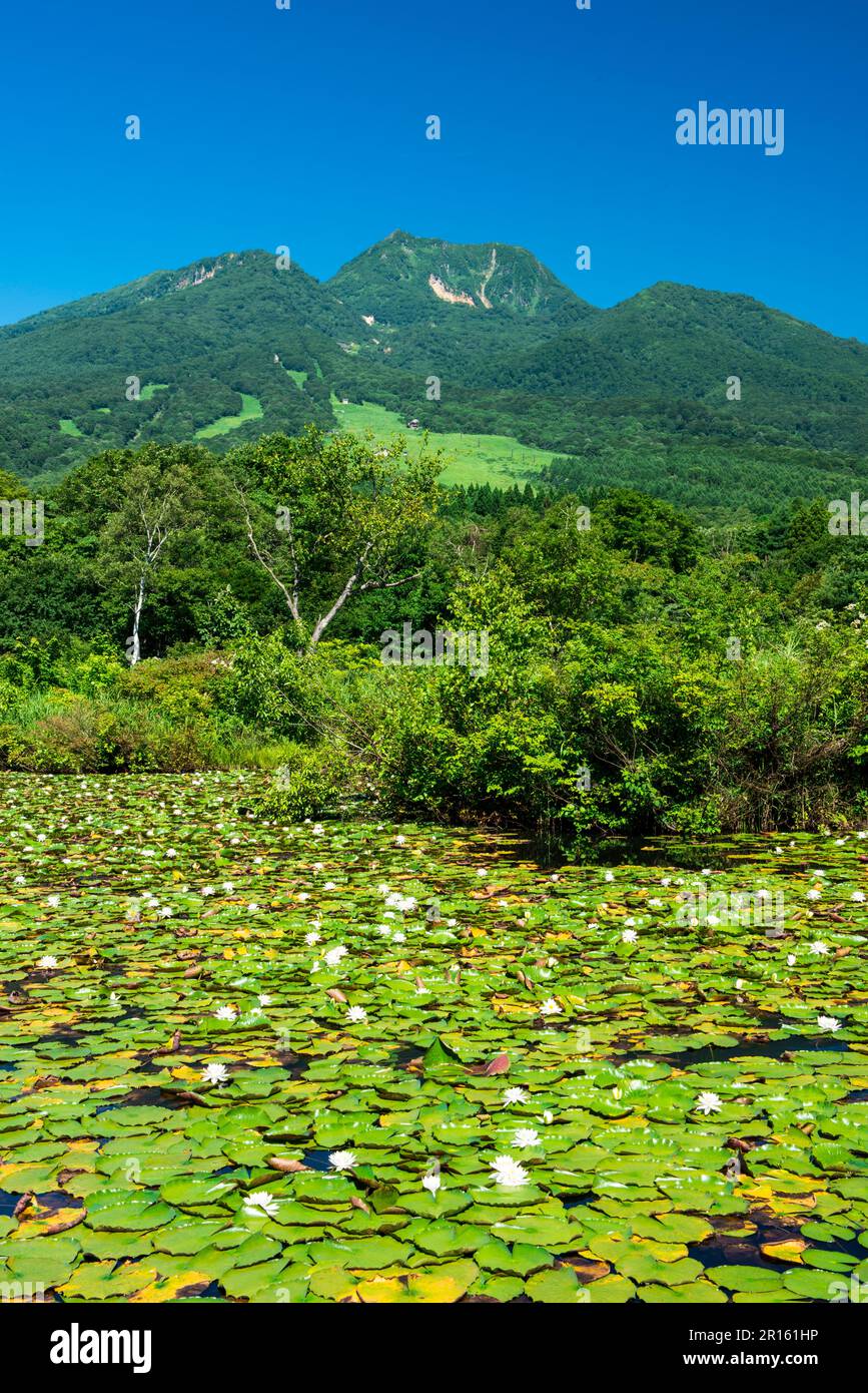 Imori pond and Mt. Myoko Stock Photo - Alamy