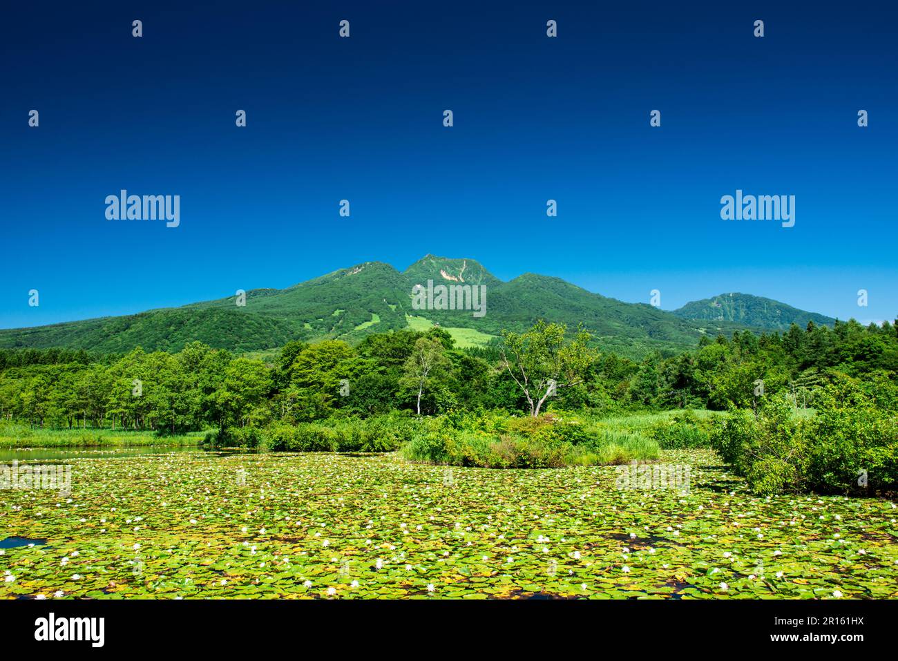Imori pond and Mt. Myoko Stock Photo - Alamy