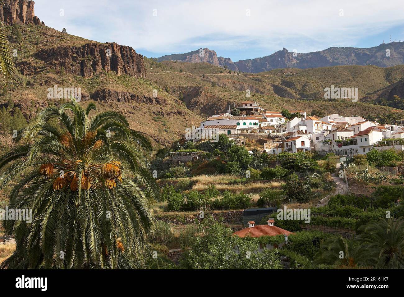Village, Fataga, Barranco de Fataga, palm trees, gorge, Massif Central ...