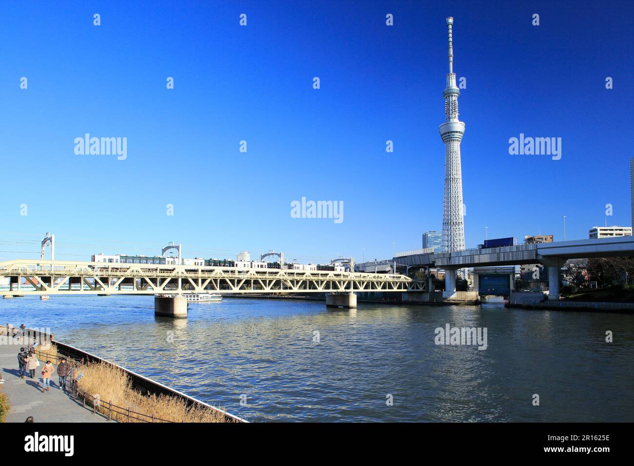 Sky tree and Tobu train Stock Photo - Alamy