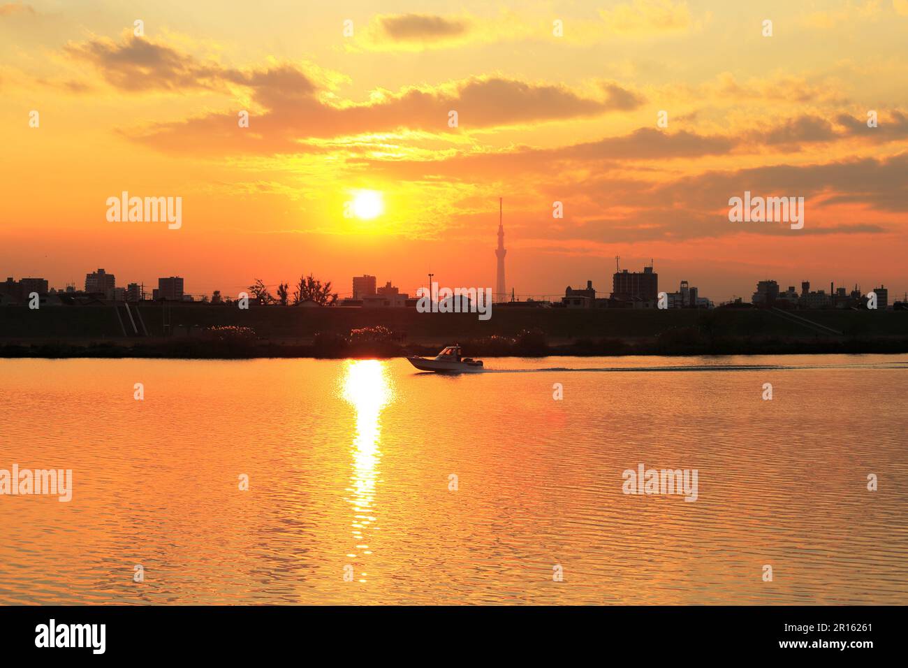 The sunset on the Edogawa River and Tokyo Skytree Stock Photo - Alamy