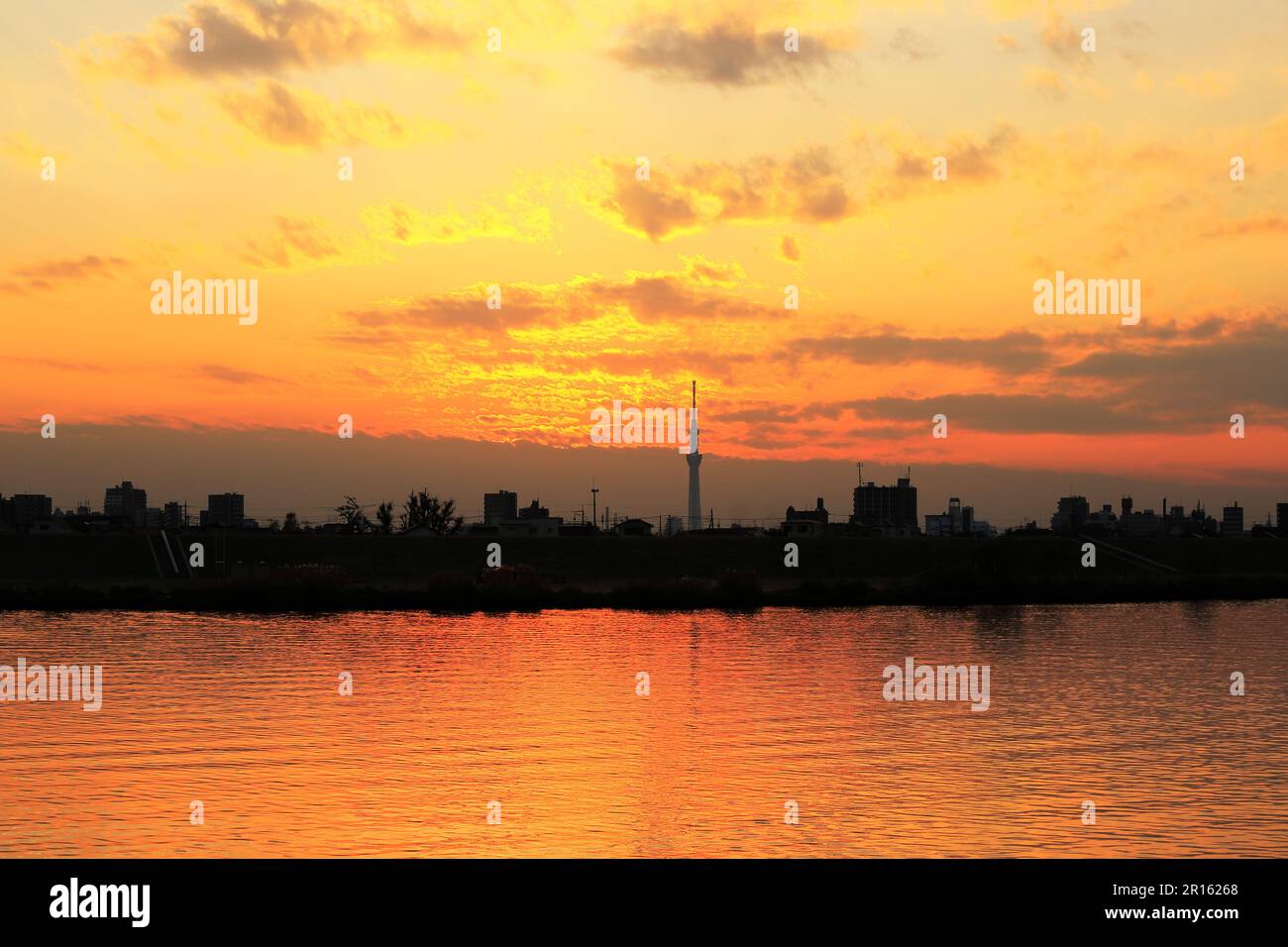 The sunset on the Edogawa River and Tokyo Skytree Stock Photo - Alamy