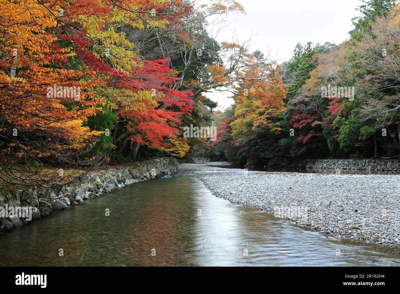 Isuzu river of Ise grand shrine during autumn Stock Photo - Alamy