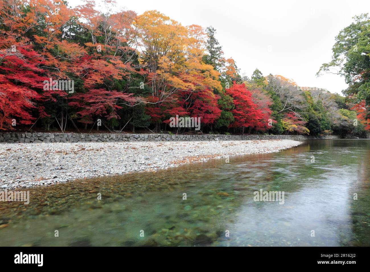 Isuzu river of Ise grand shrine during autumn Stock Photo - Alamy