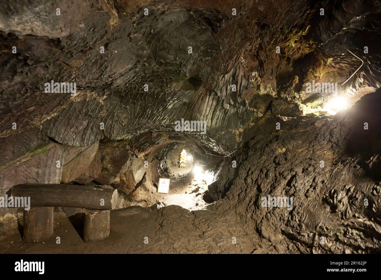 Funatsu womb tree Stock Photo - Alamy