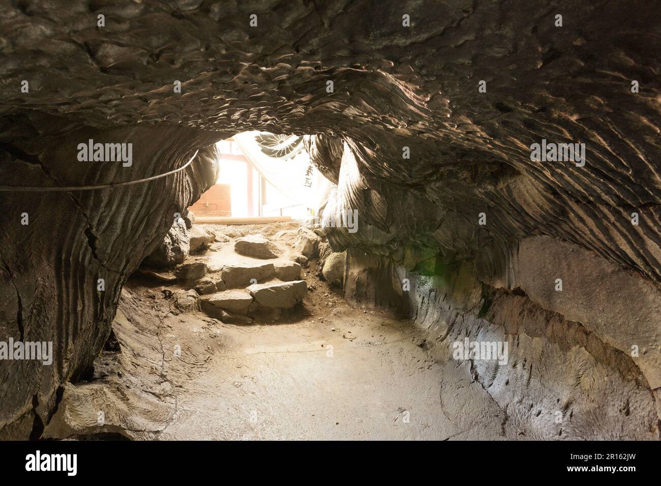 Funatsu womb tree Stock Photo - Alamy