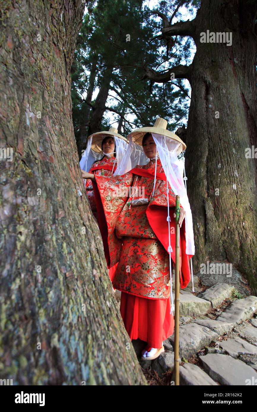 Woman dressed in Heian era costumes stroking Couple Cedar at Daimonzaka ...