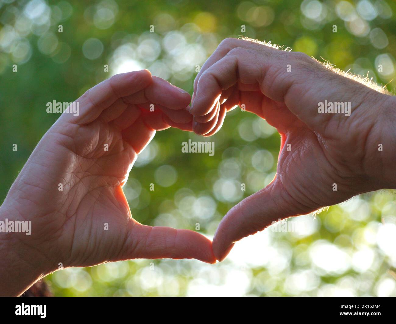 Hands shape heart Stock Photo - Alamy