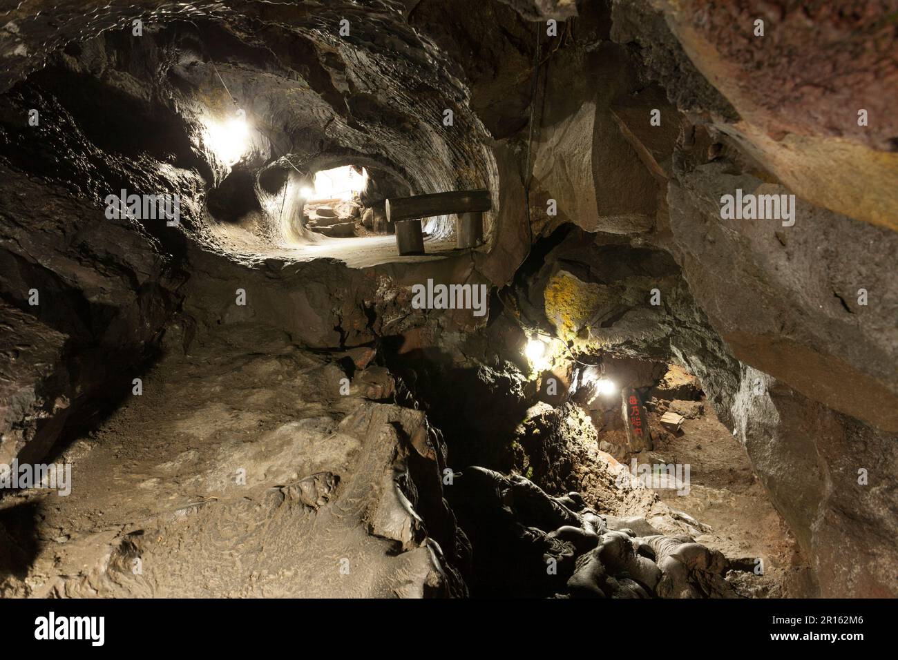 Funatsu womb tree Stock Photo - Alamy