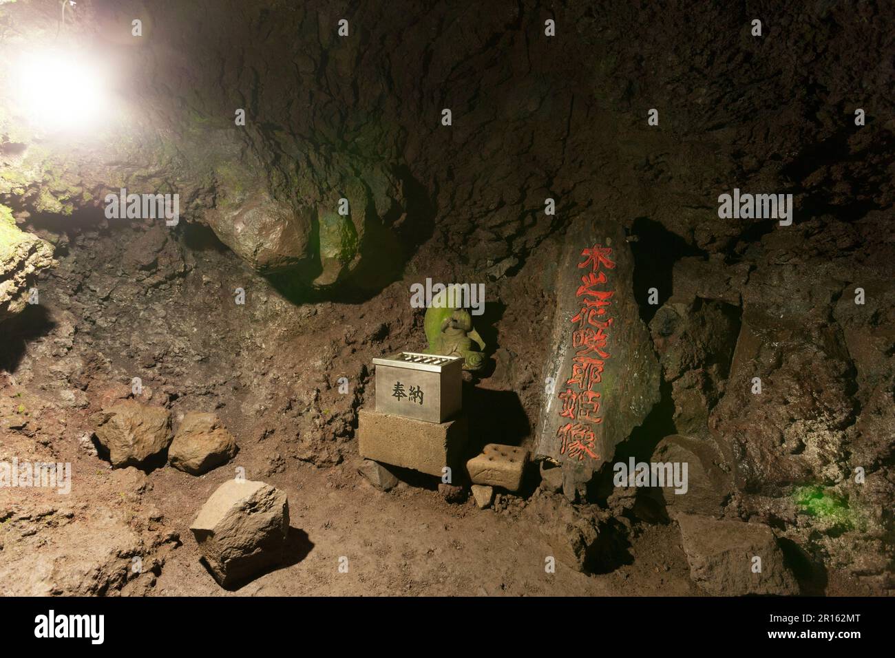 Funatsu womb tree Stock Photo - Alamy