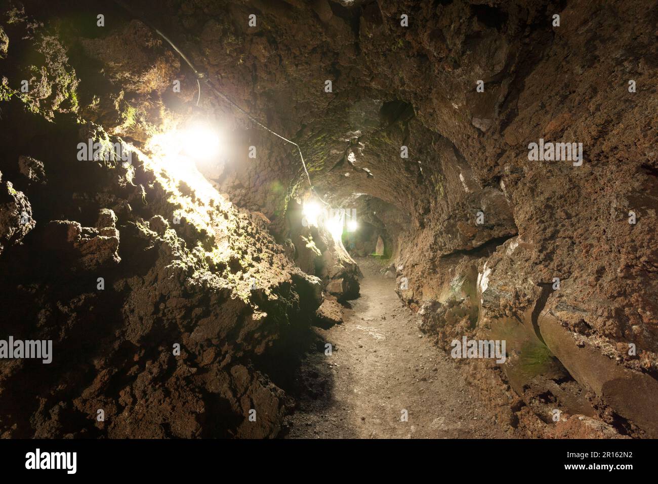 Funatsu womb tree type hi-res stock photography and images - Alamy