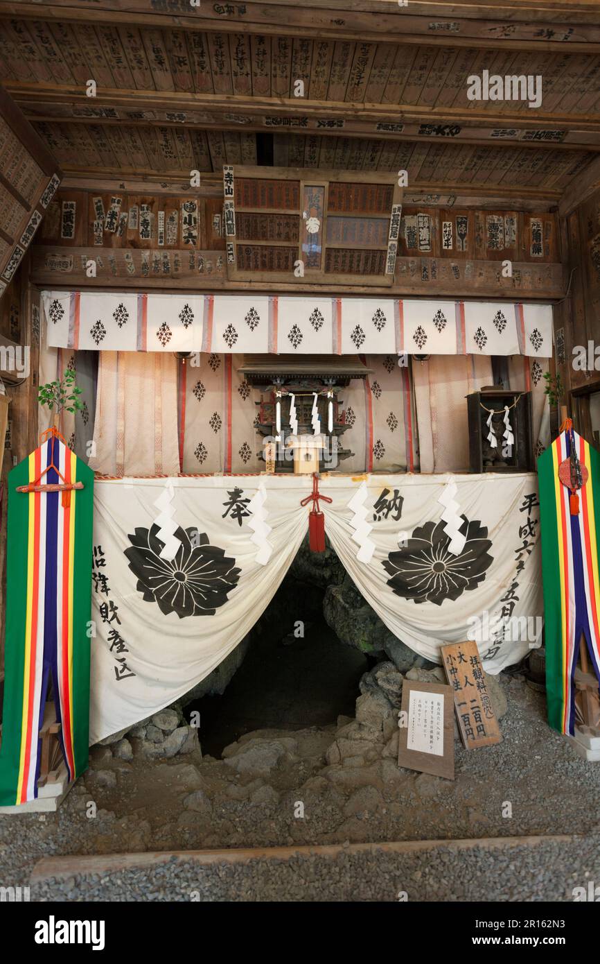 Funatsu womb tree Stock Photo - Alamy