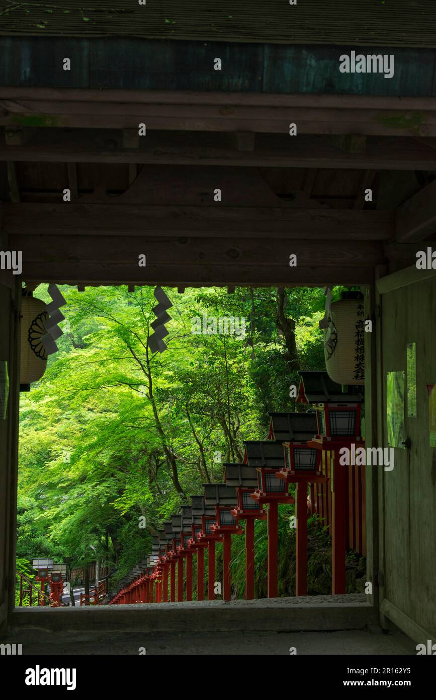 Kibune Shrine path with red painted lanterns Stock Photo - Alamy