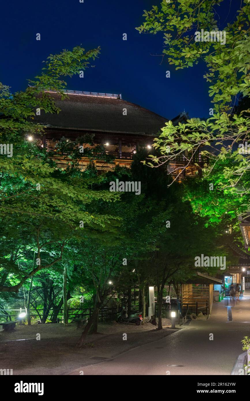 Lit up Kiyomizudera Temple stage Stock Photo - Alamy