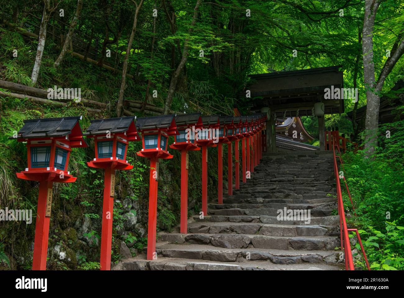 Kibune Shrine path with red painted lanterns Stock Photo - Alamy