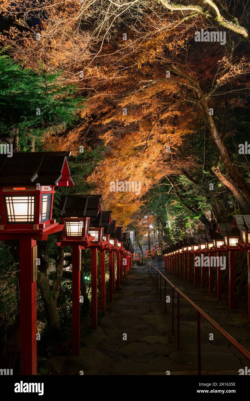 Fall colors and Illuminated shrine path of Kifune shrine Stock Photo ...