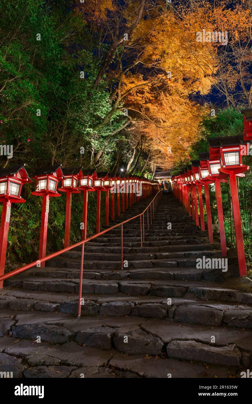 Fall colors and Illuminated shrine path of Kifune shrine Stock Photo ...