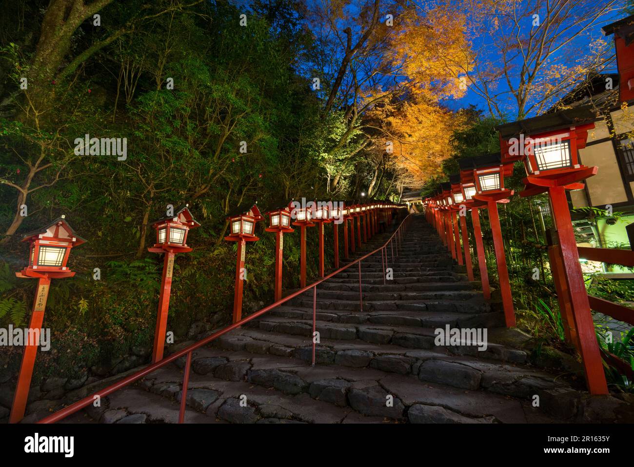 Fall colors and Illuminated shrine path of Kifune shrine Stock Photo ...