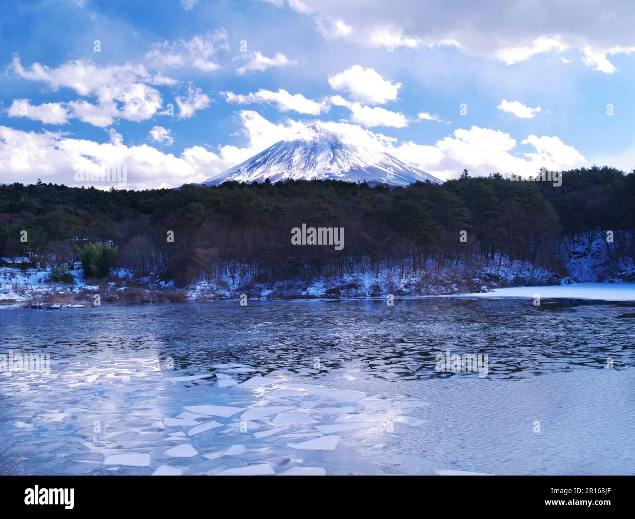 Mt. Fuji and ice on Lake Shoji-Ko Stock Photo - Alamy