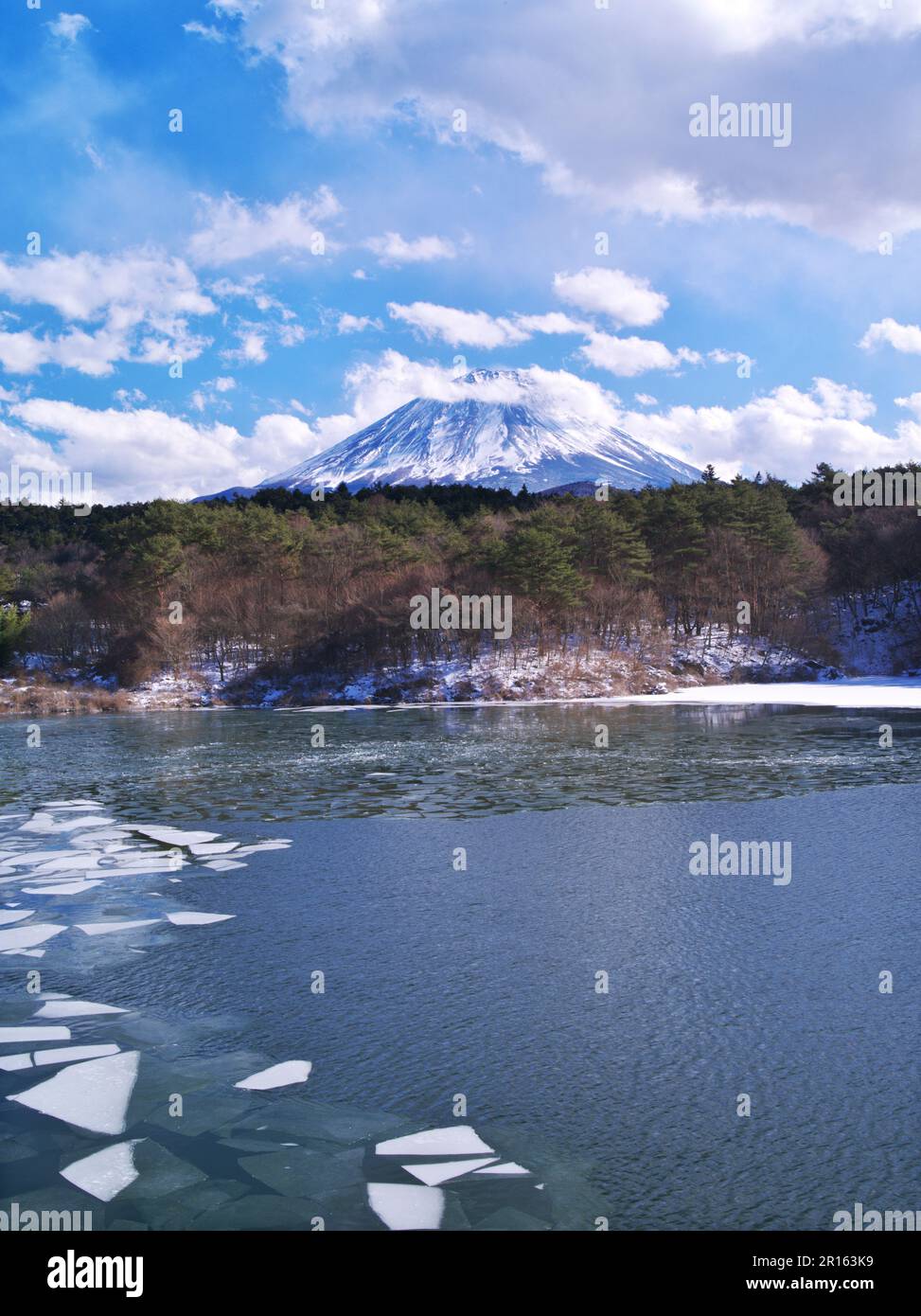 Mt. Fuji and ice on Lake Shoji-Ko Stock Photo - Alamy