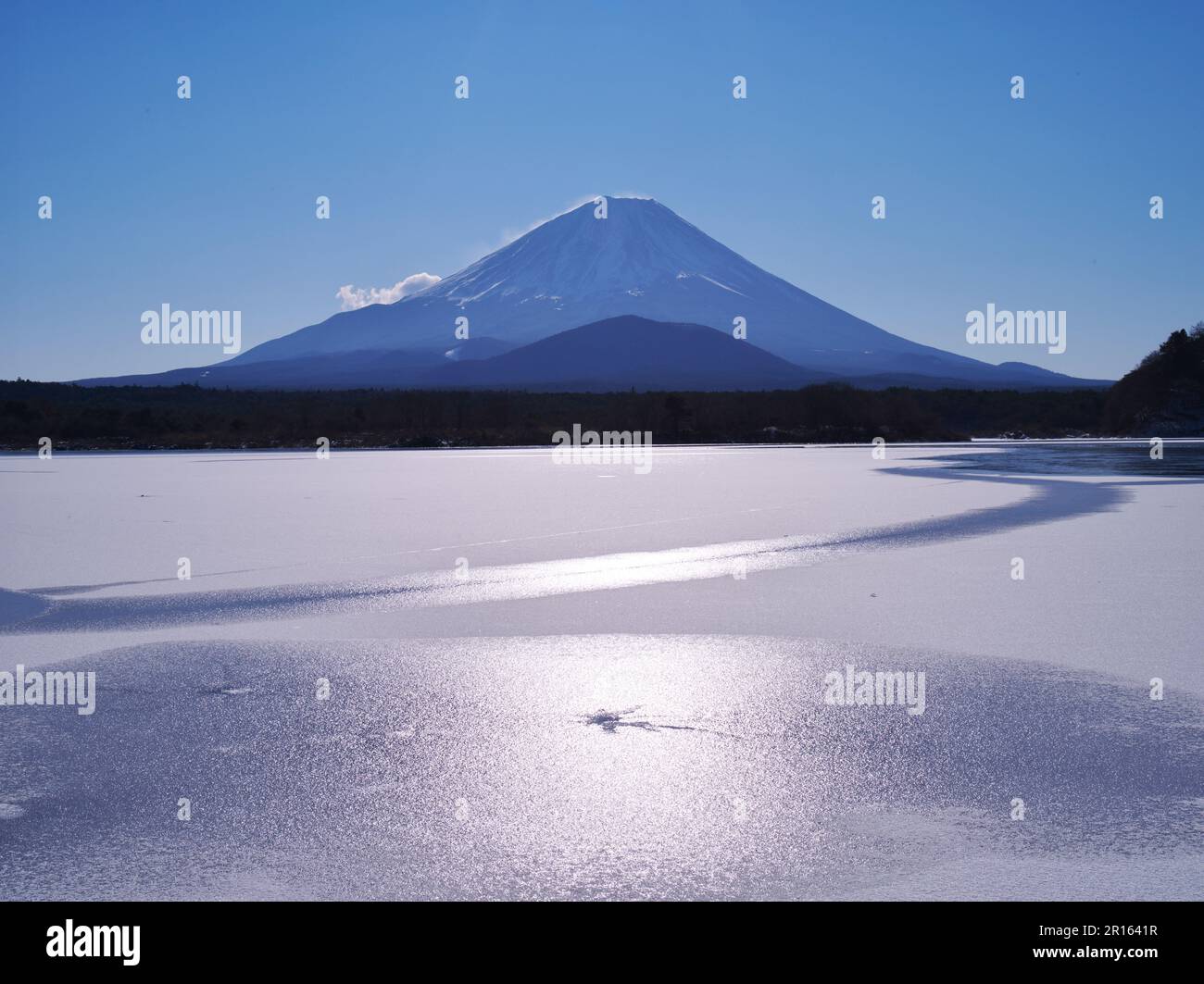 Lake Shoji-Ko and Mt. Fuji Stock Photo - Alamy