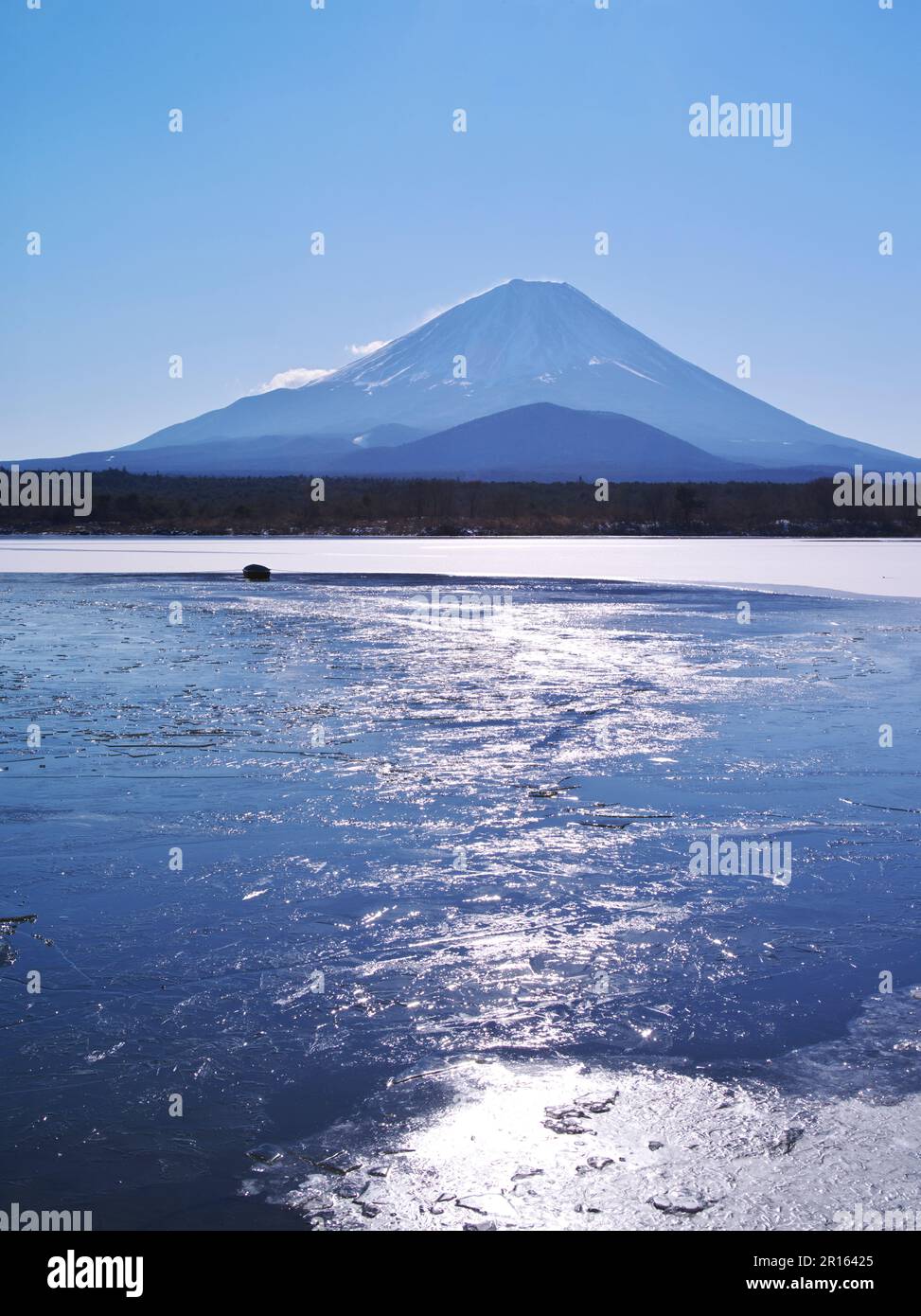 Lake Shoji-Ko and Mt. Fuji Stock Photo - Alamy