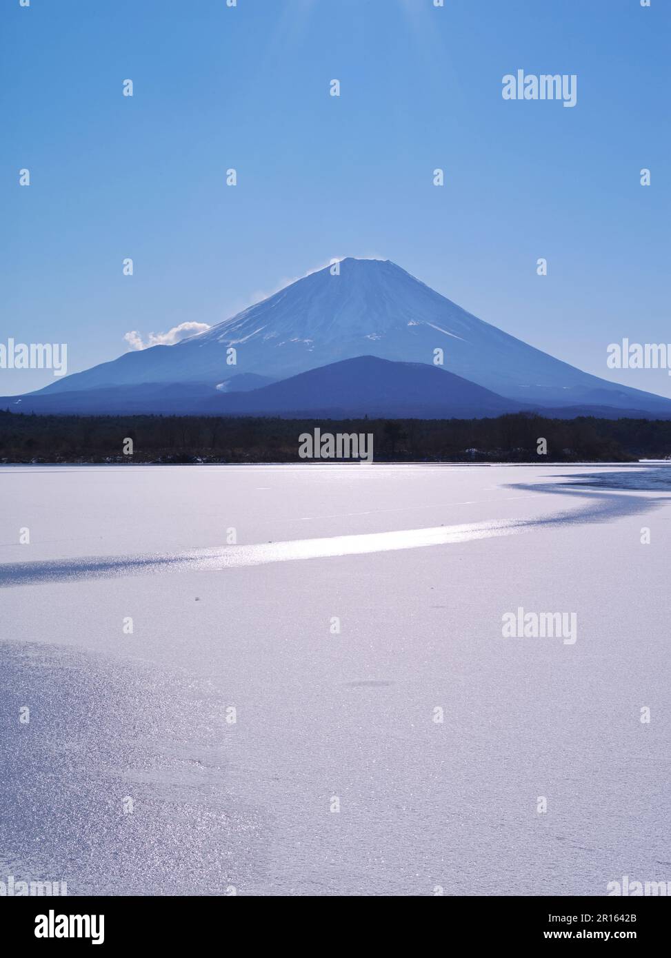 Lake Shoji-Ko and Mt. Fuji Stock Photo - Alamy