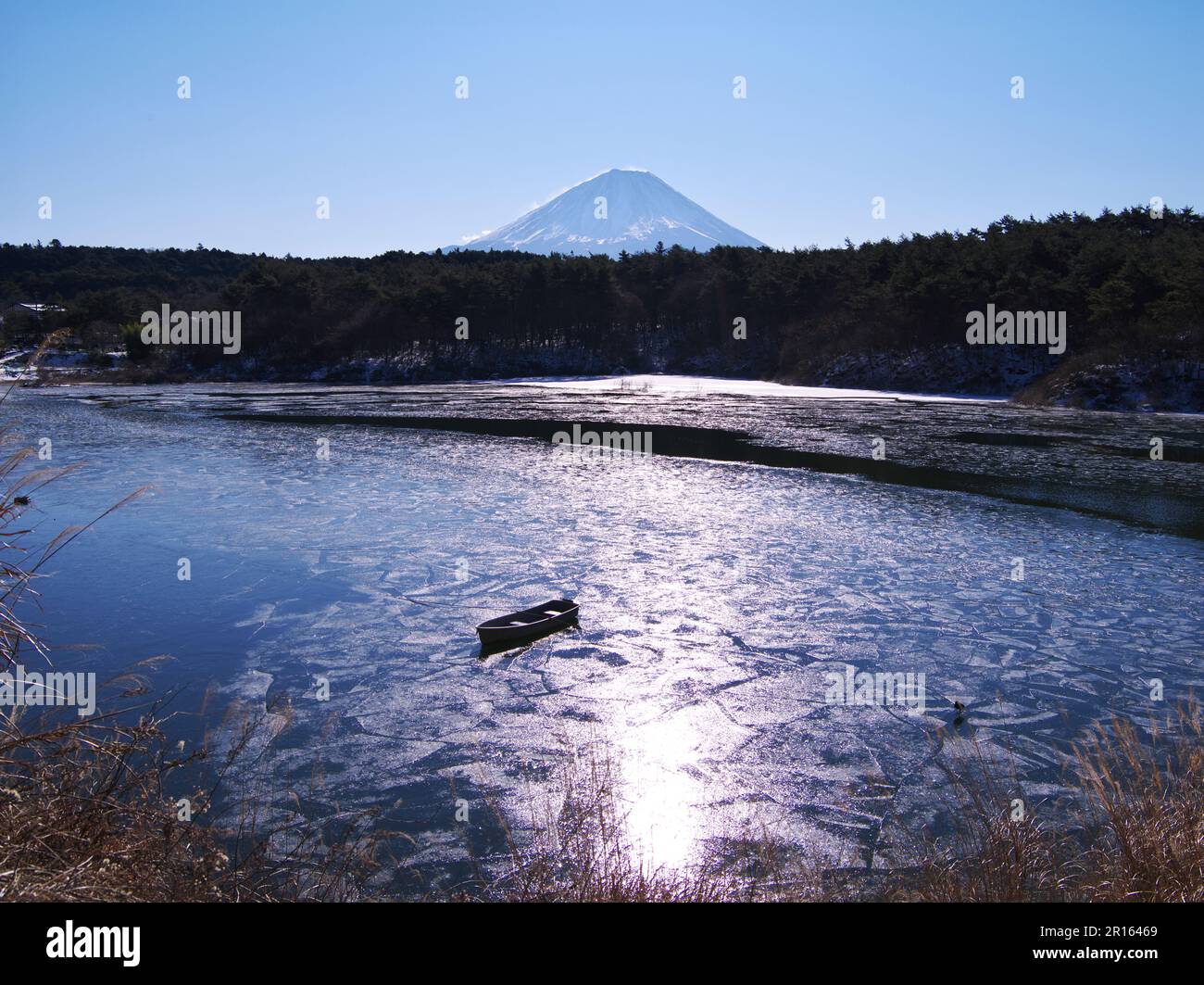 Lake Shoji-Ko and Mt. Fuji Stock Photo - Alamy