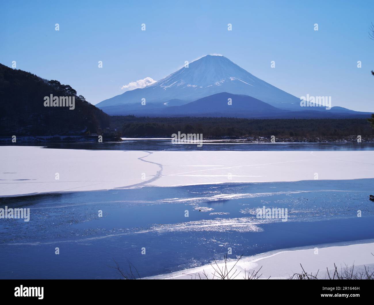 Lake Shoji-Ko and Mt. Fuji Stock Photo - Alamy