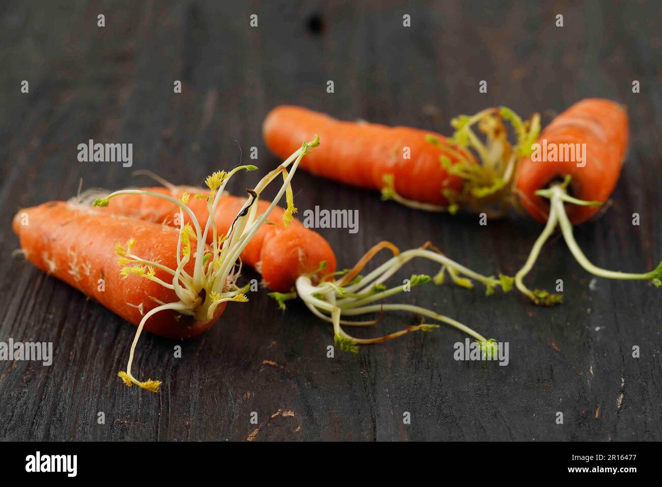 Carrots sprout hi-res stock photography and images - Alamy
