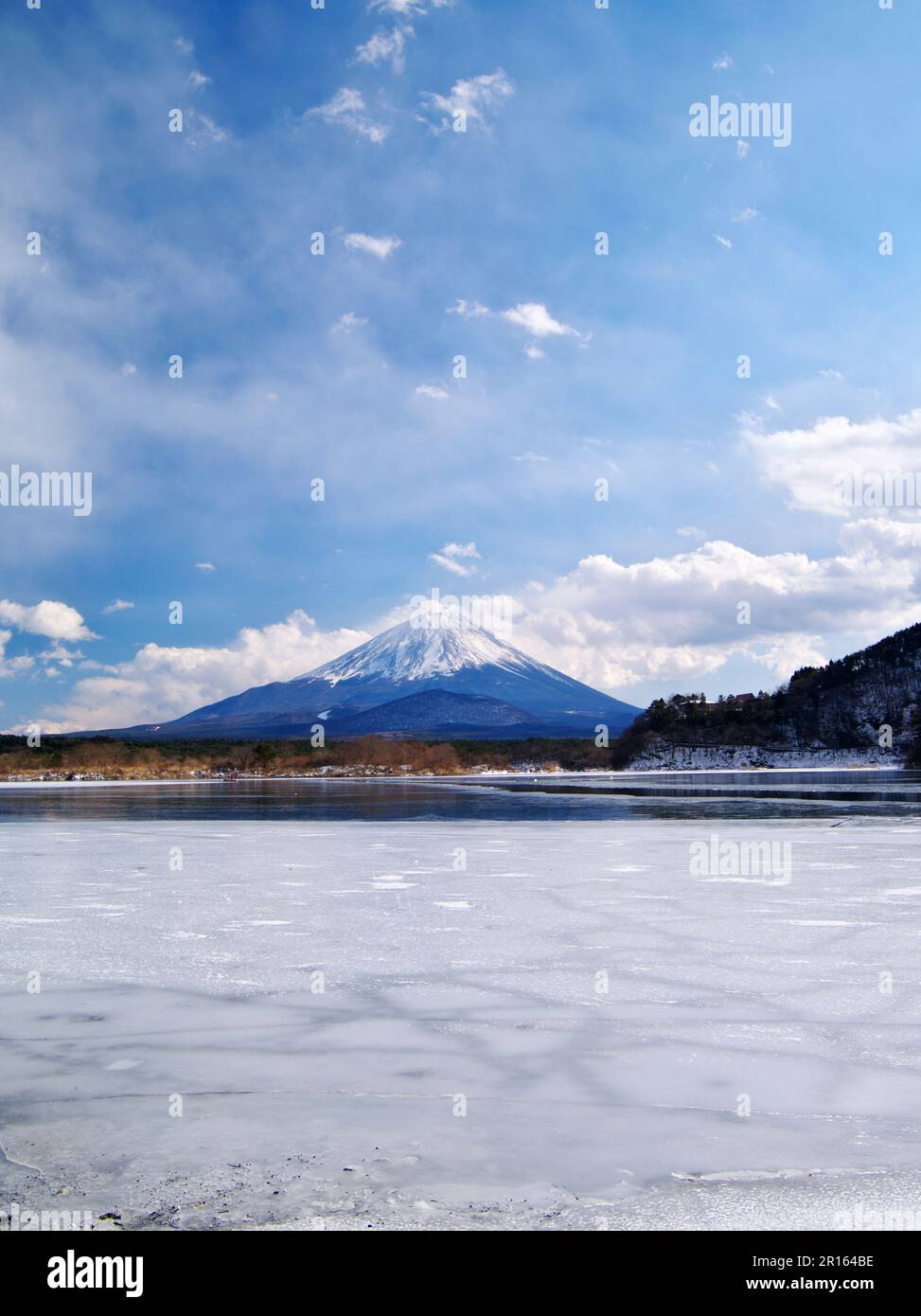 Lake Shoji-Ko and Mt. Fuji Stock Photo - Alamy
