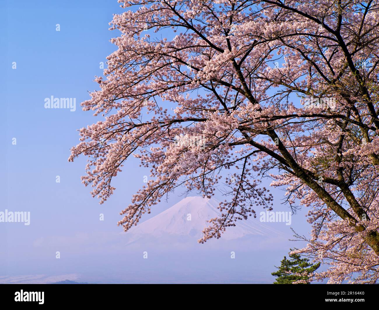 Fujimi fuji hi-res stock photography and images - Alamy