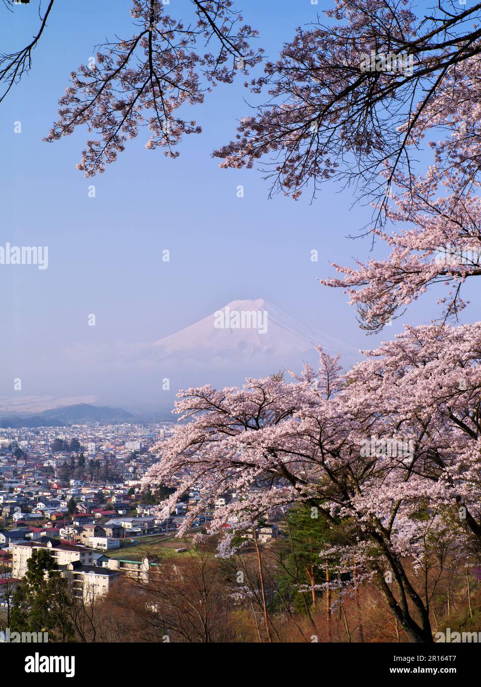 Fujimi fuji hi-res stock photography and images - Alamy