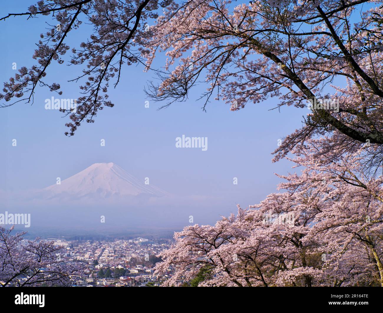 Fujimi fuji hi-res stock photography and images - Alamy