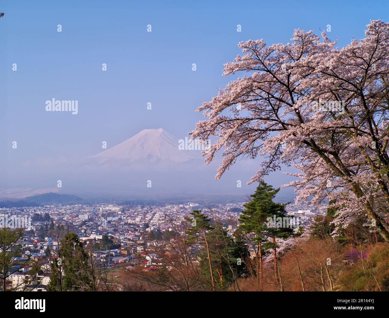 Fujimi fuji hi-res stock photography and images - Alamy