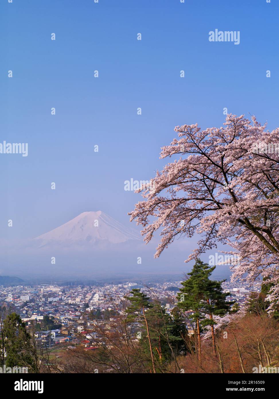 Fujimi fuji hi-res stock photography and images - Alamy