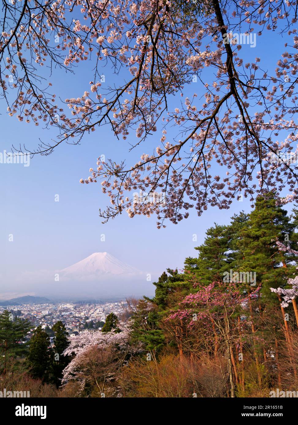 Fujimi fuji hi-res stock photography and images - Alamy