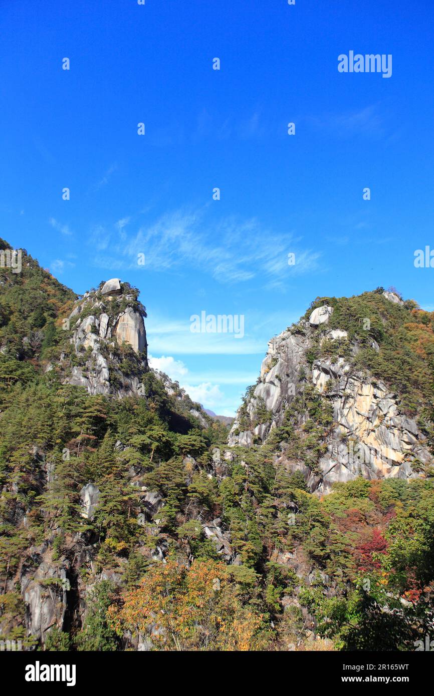 Blue sky with fall foliage hi-res stock photography and images - Alamy