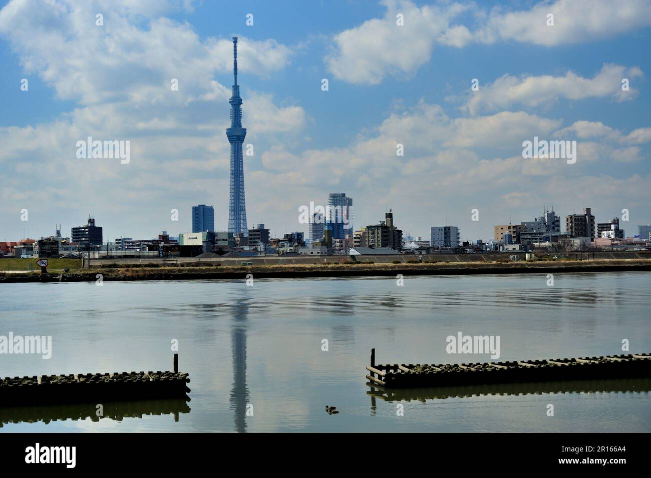Arakawa river and Tokyo sky tree Stock Photo - Alamy