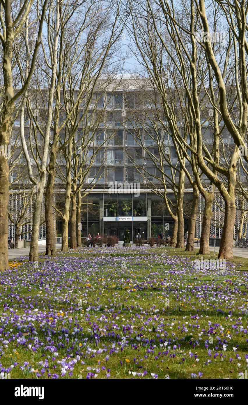 Hospital 'Benjamin Franklin', Hindenburgdamm, Steglitz, Berlin, Germany ...