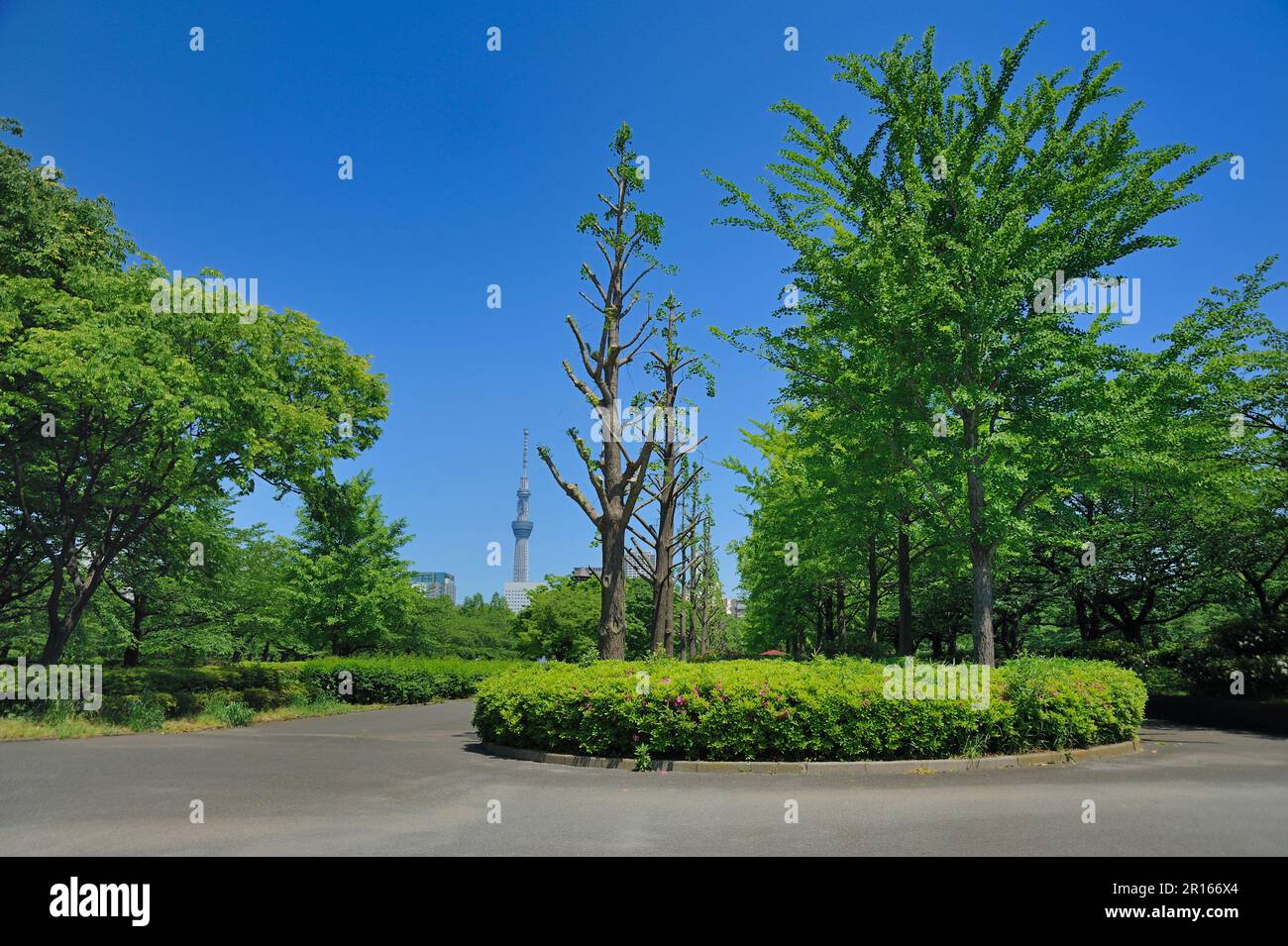 Tokyo sky tree and Sarue Imperial park Stock Photo - Alamy
