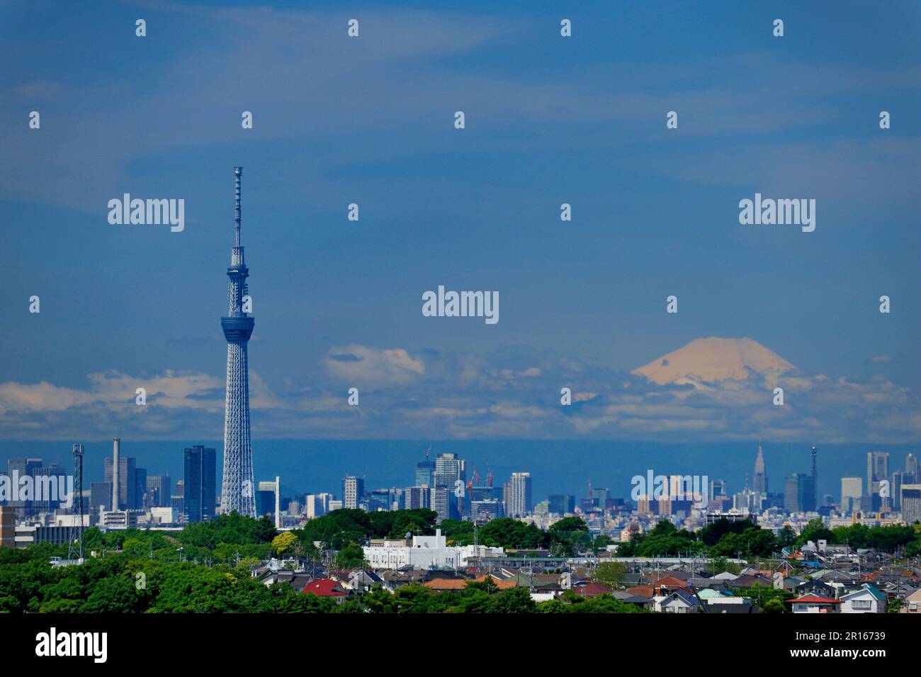 Tokyo sky tree and Mt Fuji Stock Photo - Alamy
