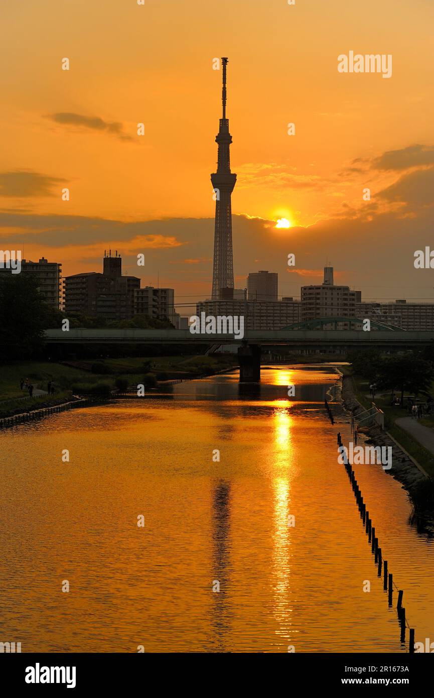 Tokyo Sky Tree and sunset Stock Photo - Alamy